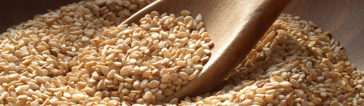 Natural Sesame Seeds - Gatral Trading